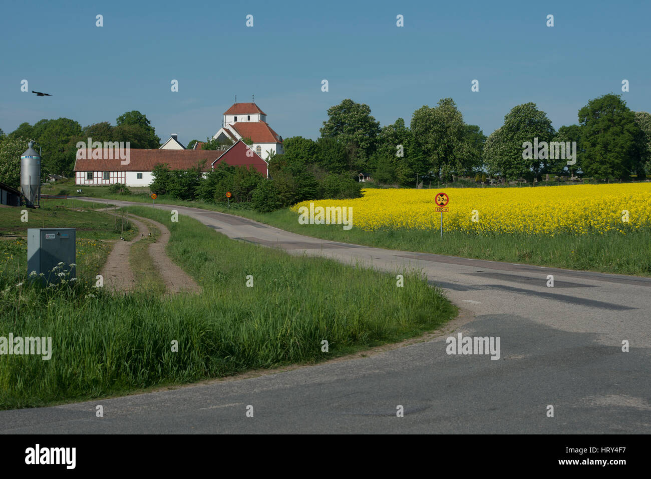 Flowering rape-fields in an open, agricultural landscape in the south ...