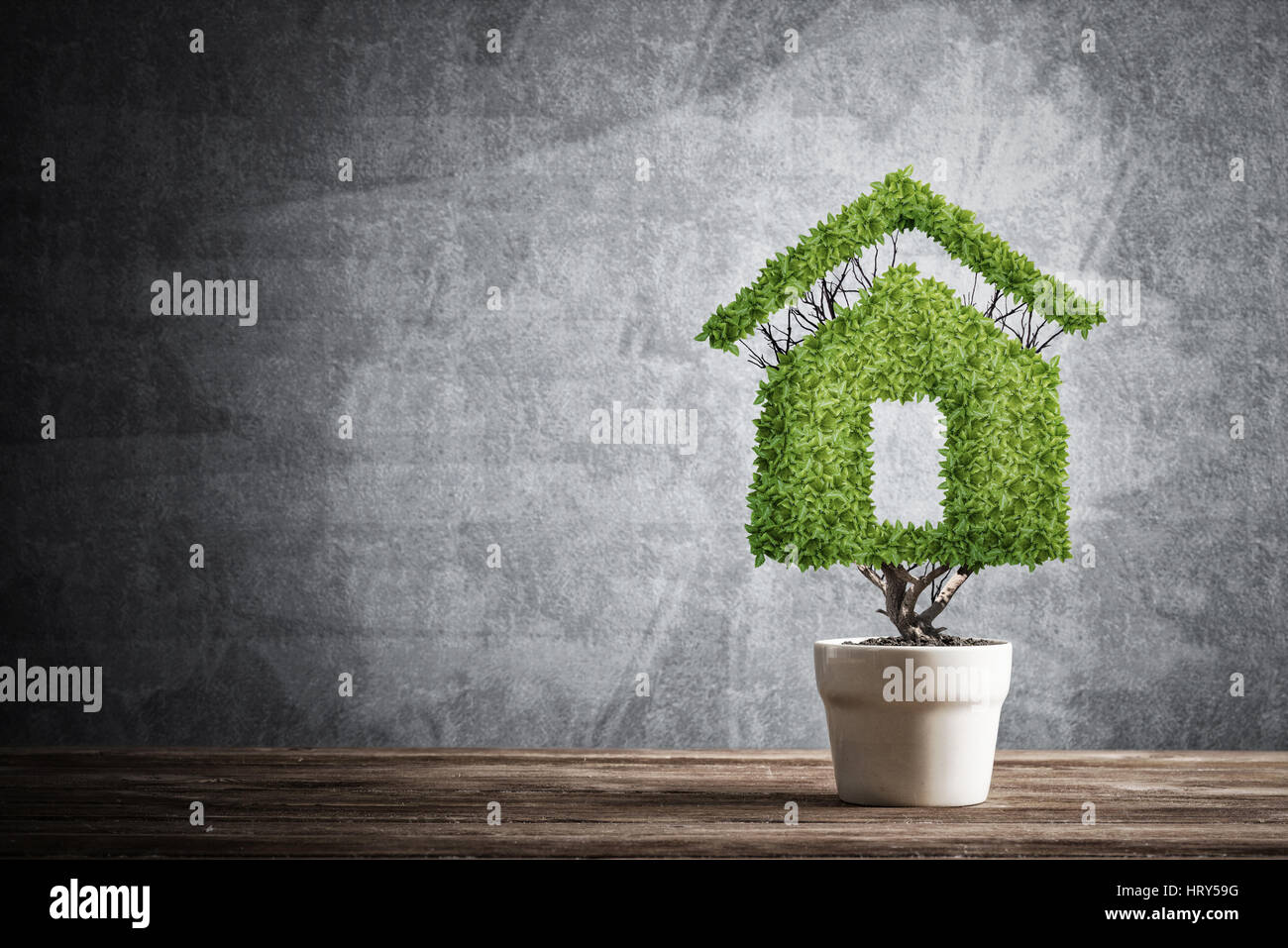 Green plant in pot shaped like house Stock Photo - Alamy
