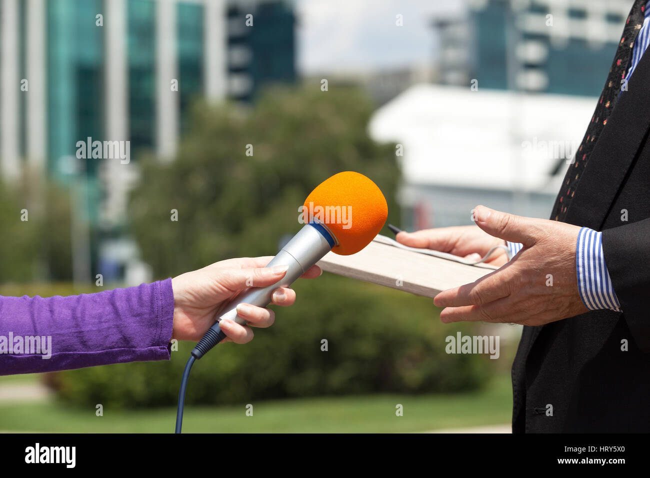 Female reporter or journalist making media interview with businessman ...