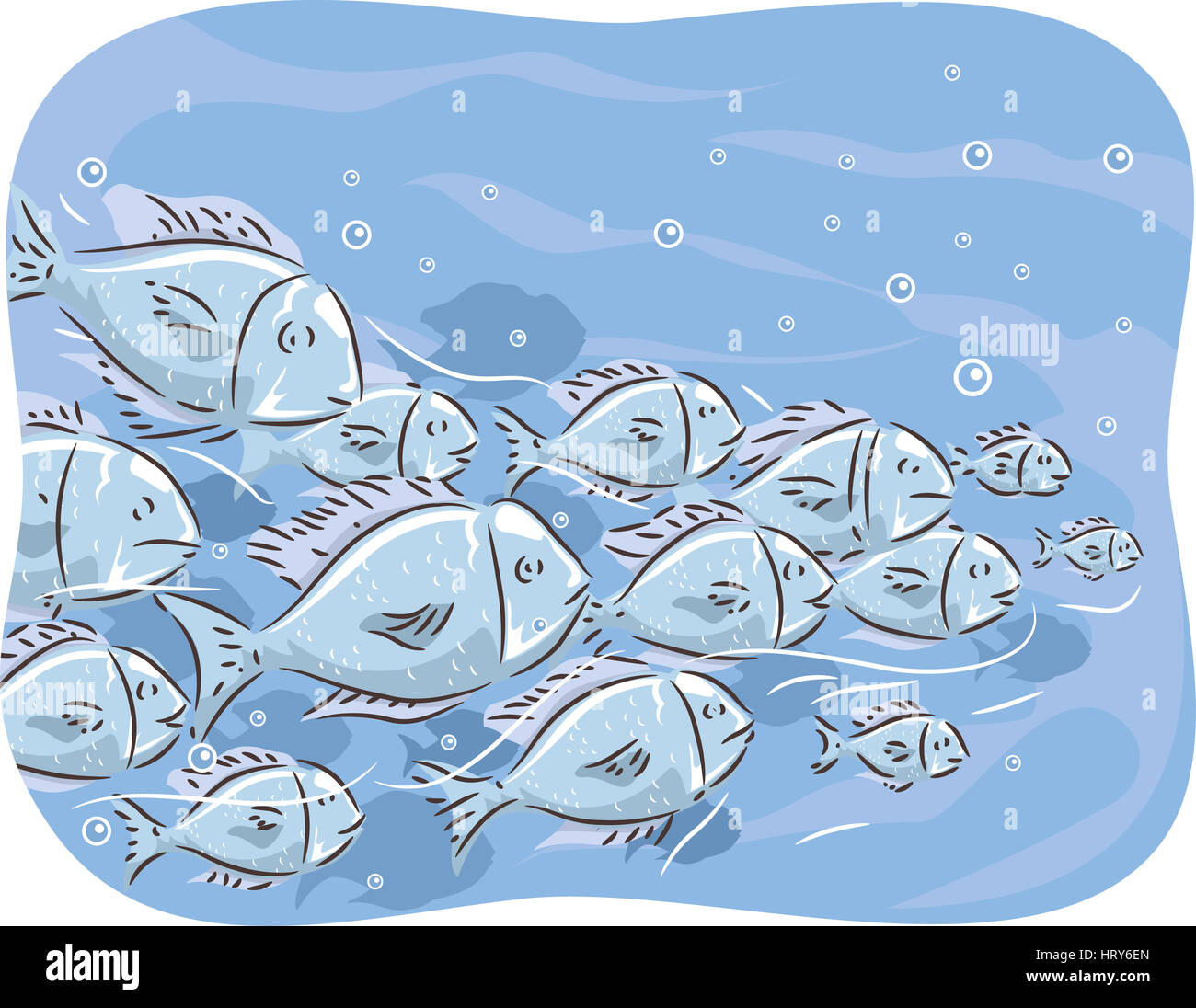 Illustration of a School of Fish Swimming Together Stock Photo - Alamy