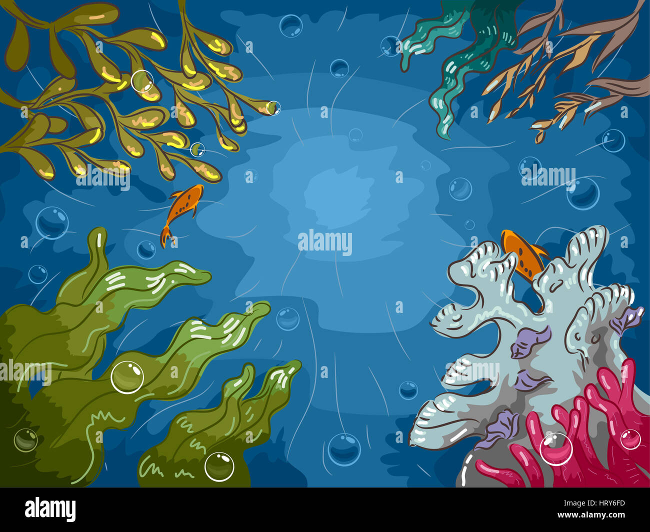 Worm Eye View Illustration of Colorful Marine Life Stock Photo - Alamy
