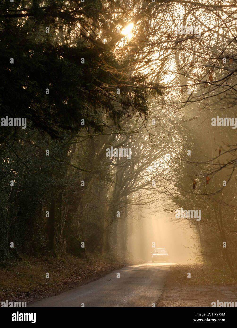 Tidenham hi-res stock photography and images - Alamy