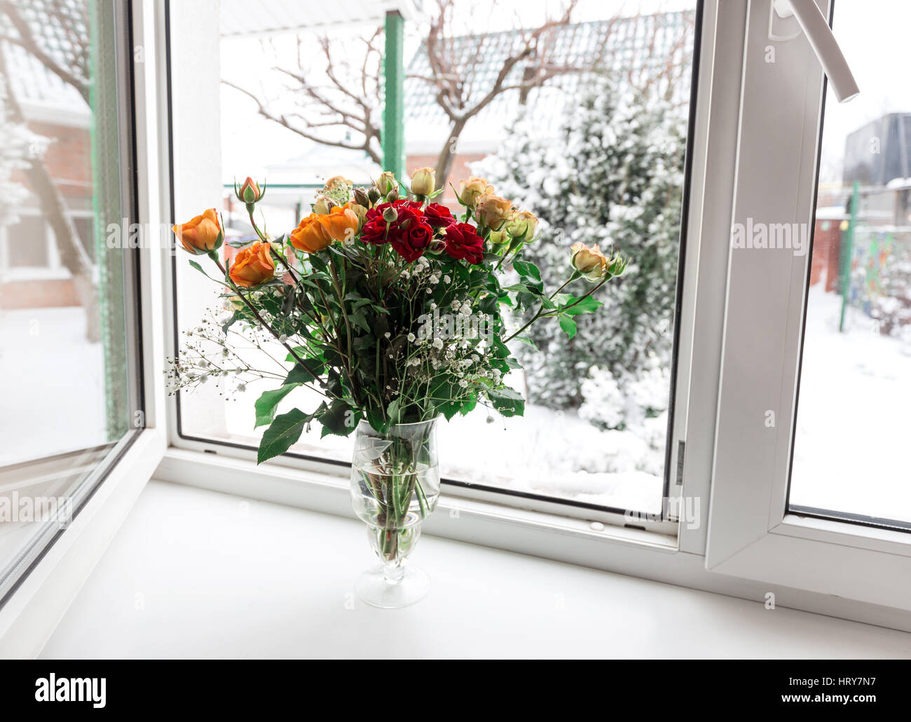 Bouquet of roses standing at the window in winter day Stock Photo - Alamy