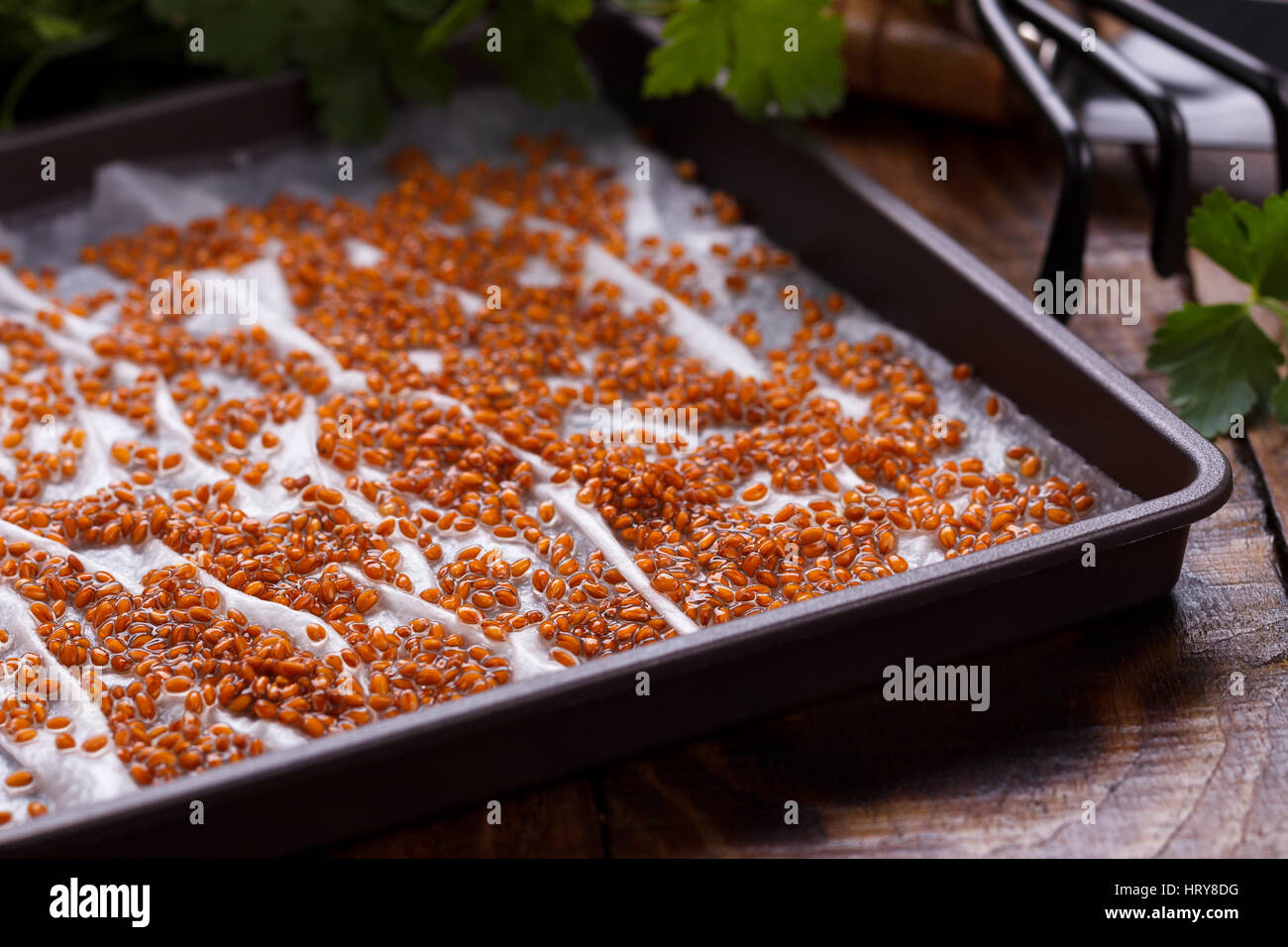 Sprouting seeds of the cress salad on wet base,closeup,macro Stock ...