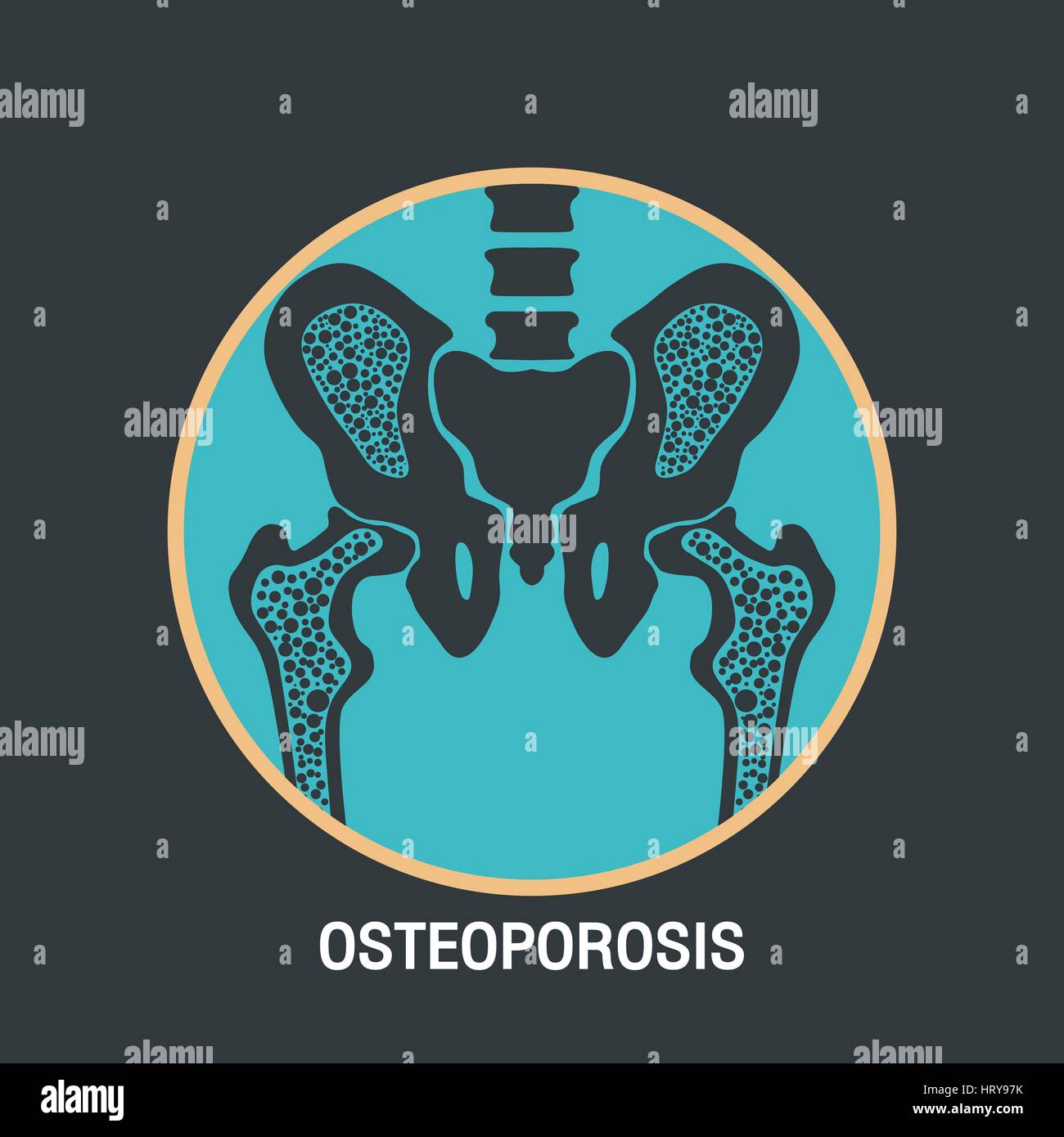 Old diagram skeleton Stock Vector Images - Alamy