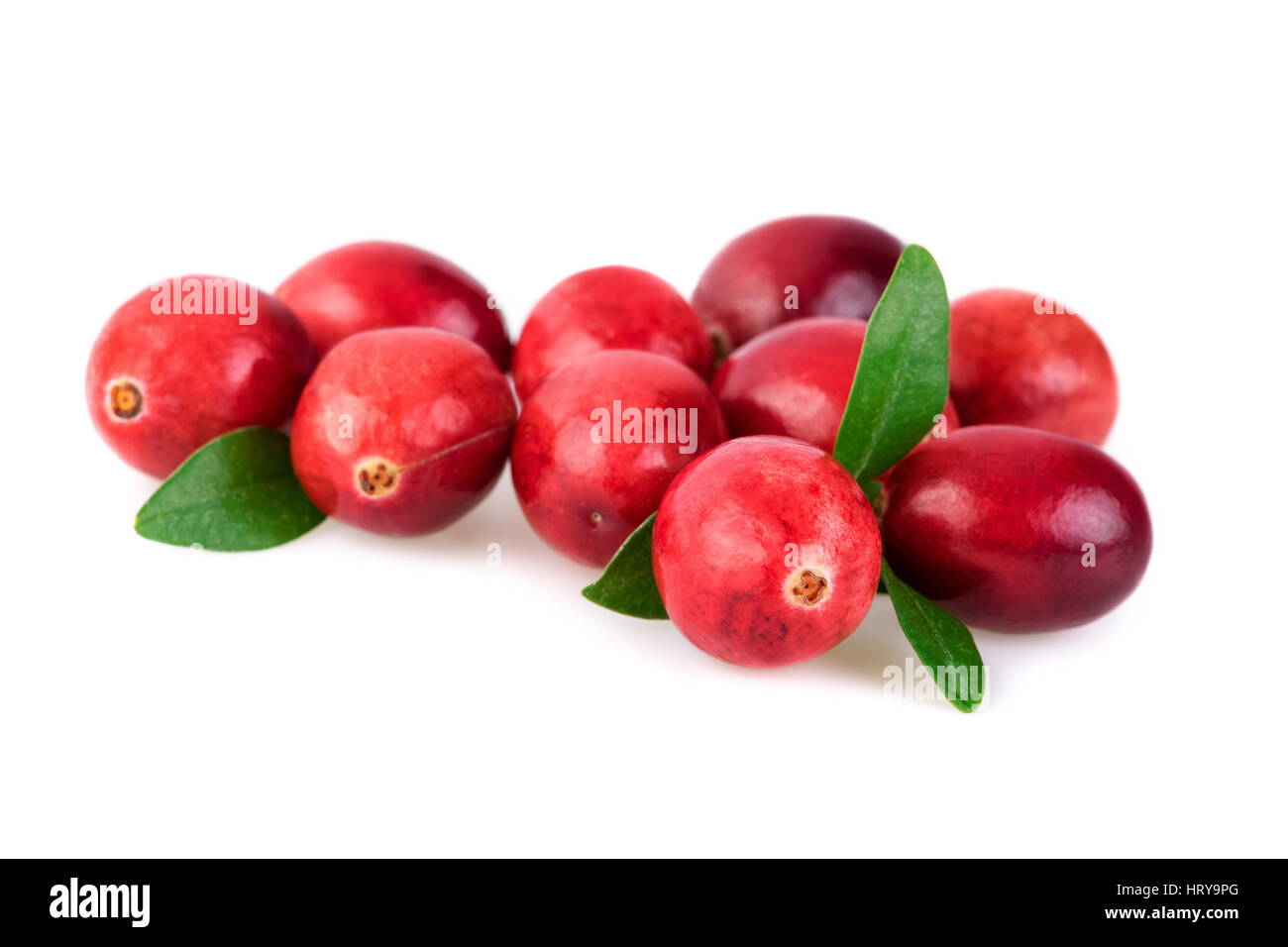 Cranberries closeup. Fresh cranberries with leaves isolated on white ...