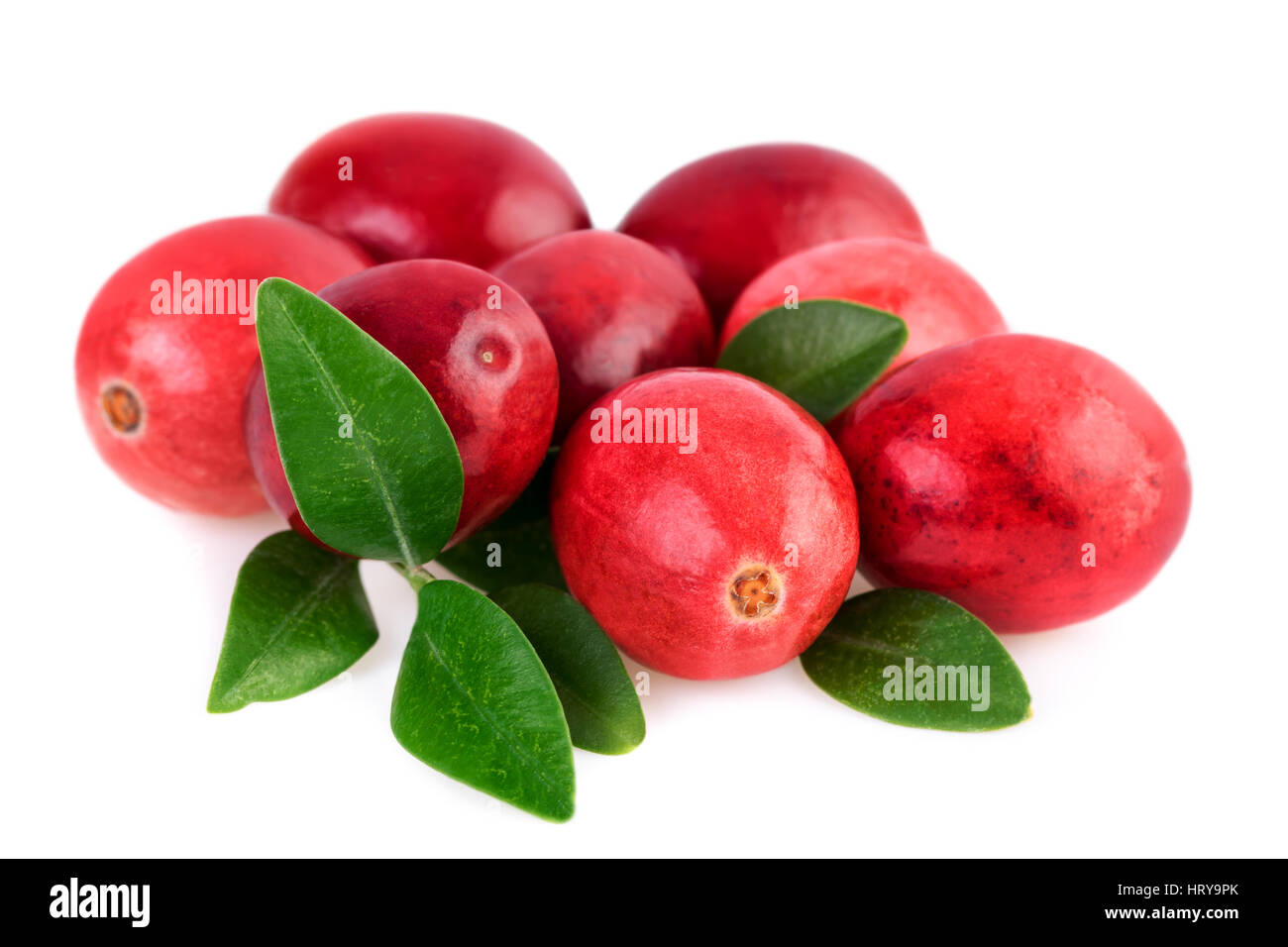 Cranberries close-up. Ripe cranberry with leaves isolated on white ...