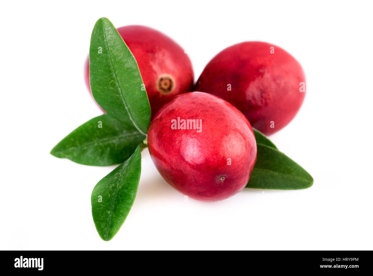 Cranberries closeup. Three cranberry isolated on white Stock Photo - Alamy