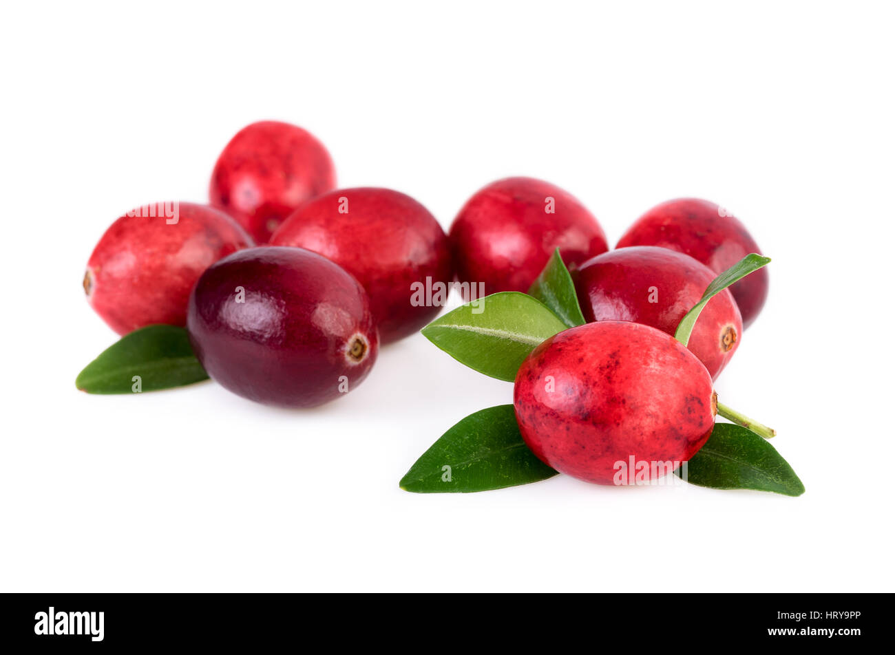 Cranberries isolated. Ripe cranberry with leaves isolated on white ...