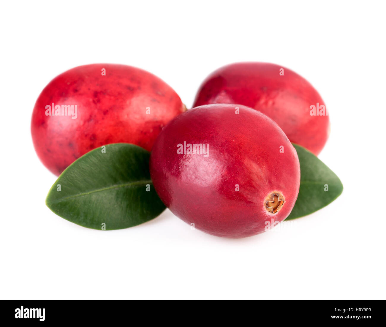 Pile fresh ripe cranberries Cut Out Stock Images & Pictures - Alamy