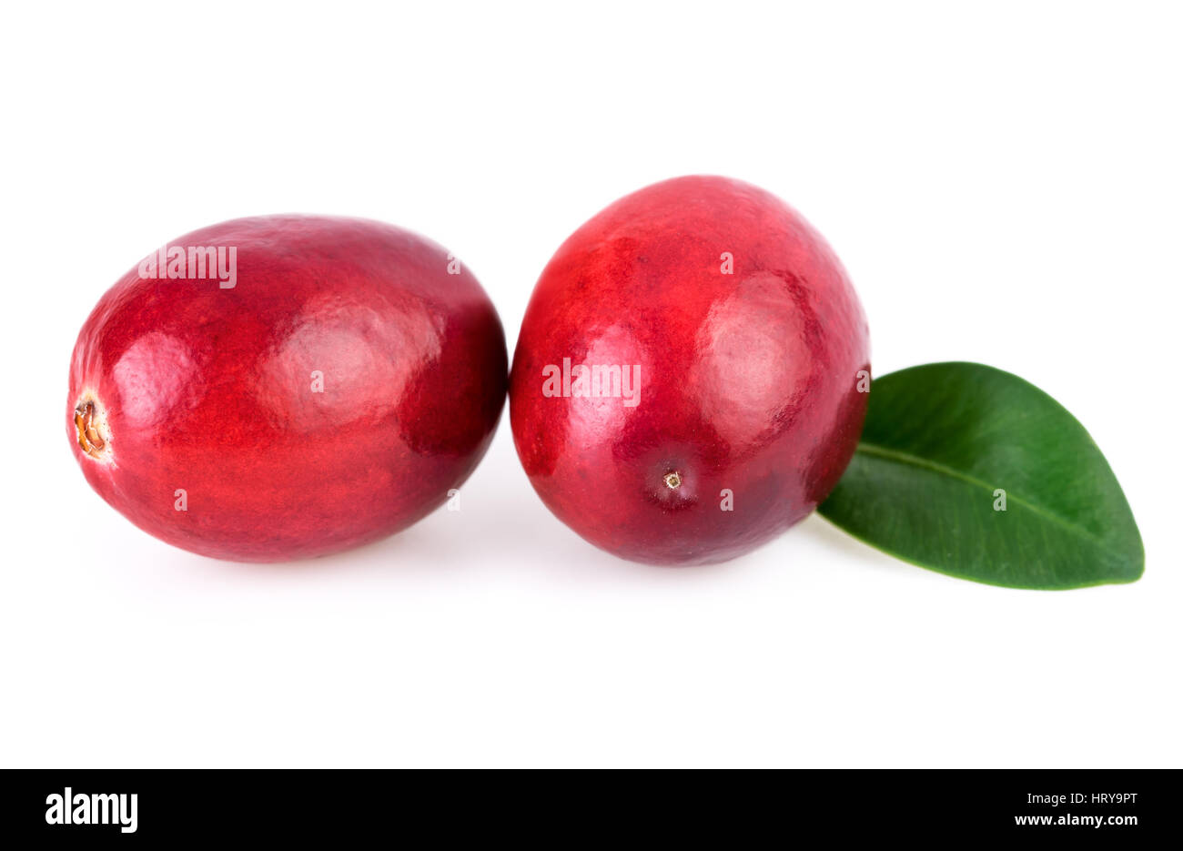 Cranberries close-up two fresh cranberry isolated on white Stock Photo ...