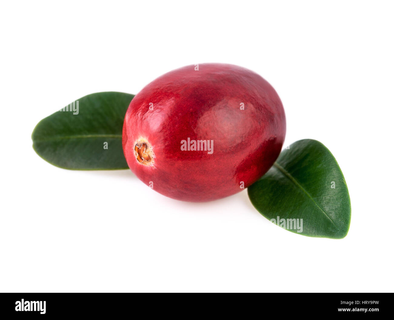 Cranberry recipe hi-res stock photography and images - Alamy