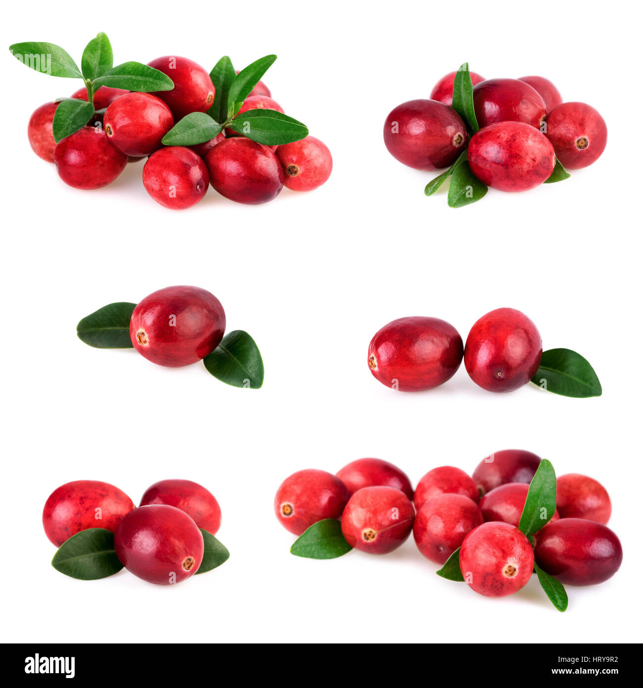 Isolated cranberries. Collection of fresh cranberry with leaf isolated ...
