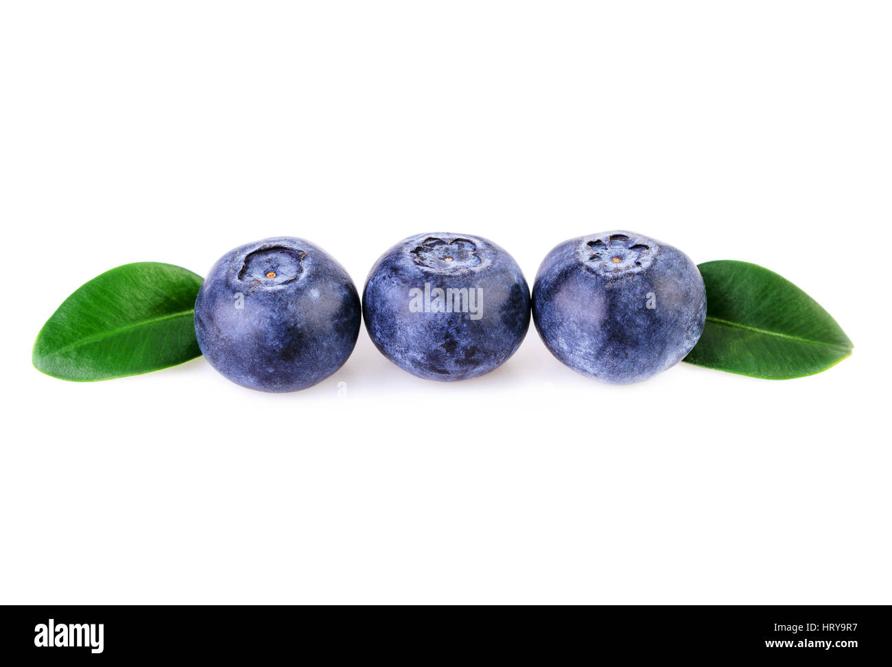 Straight line on leaf hi-res stock photography and images - Alamy