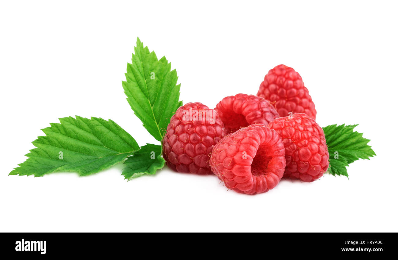 Raspberry on white hi-res stock photography and images - Alamy