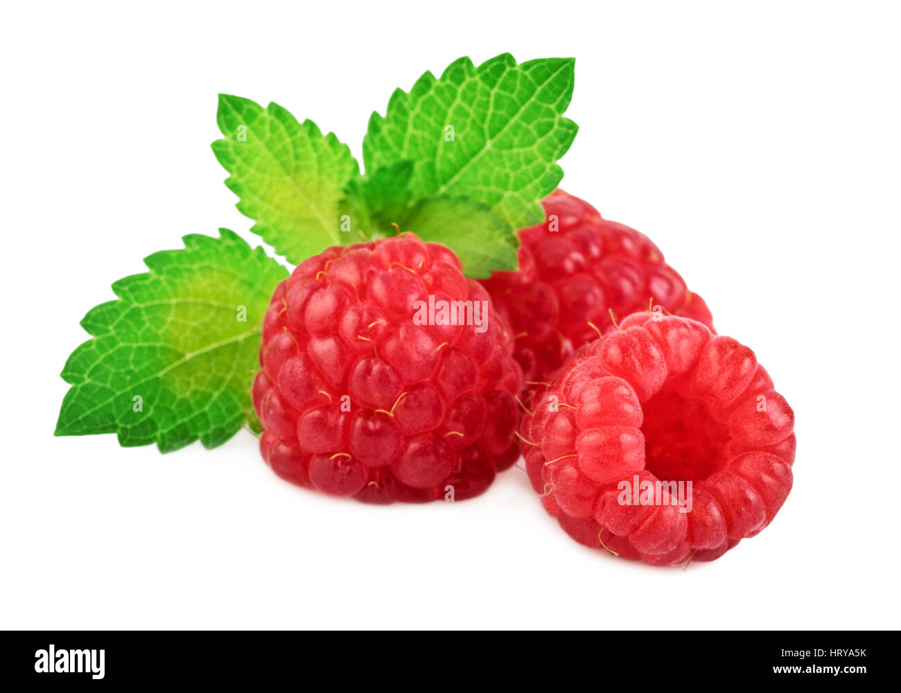 raspberry with fresh mint leaf isolated on white Stock Photo - Alamy