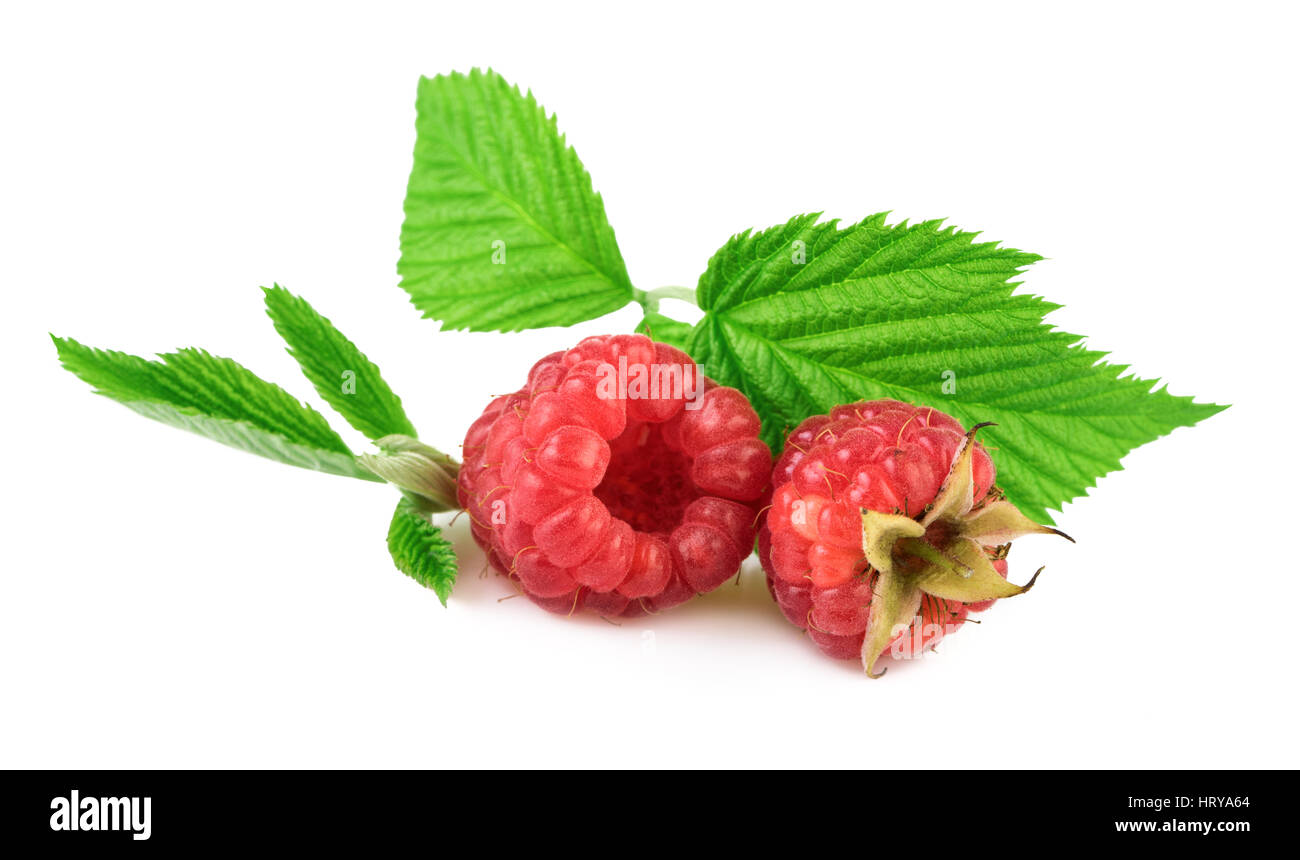 Fresh whole raspberries hi-res stock photography and images - Alamy