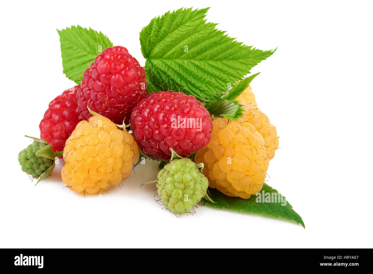 Yellow Raspberry