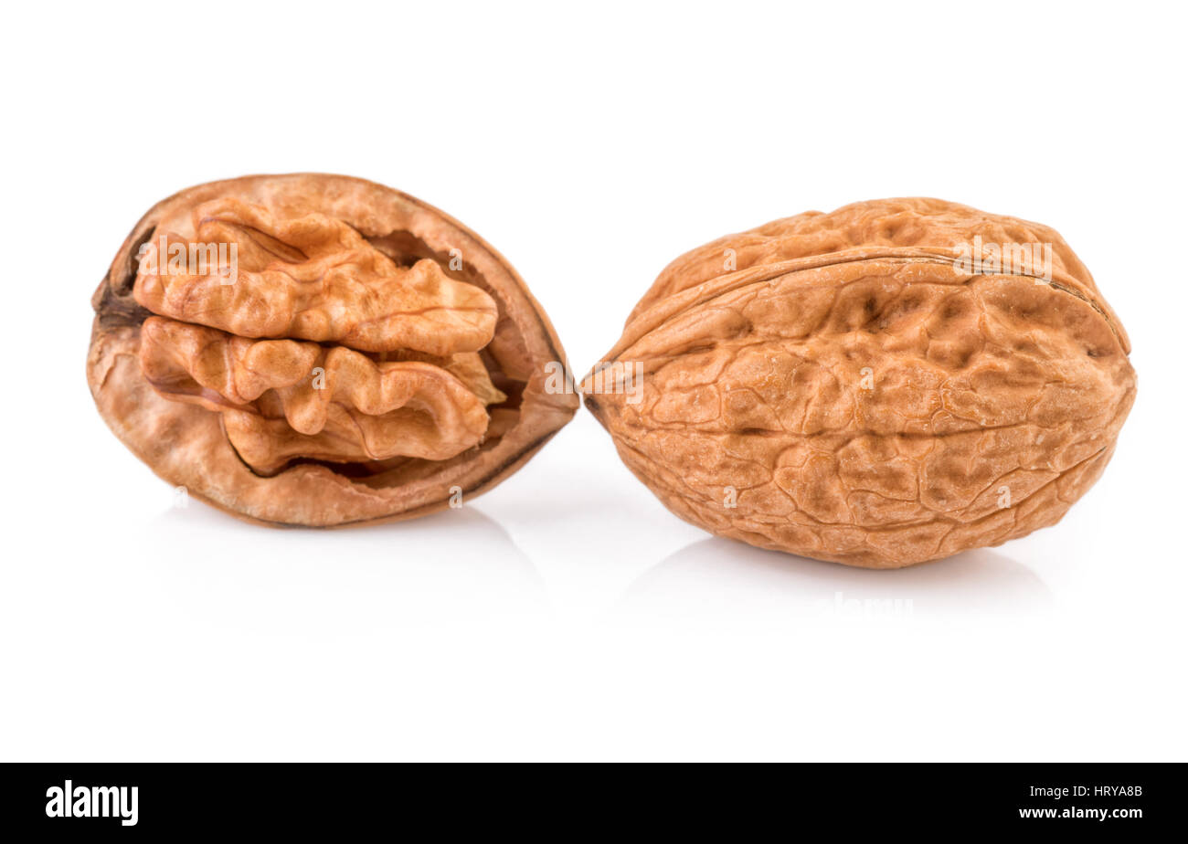 Isolated walnut. Two halves of walnuts isolated on white background ...