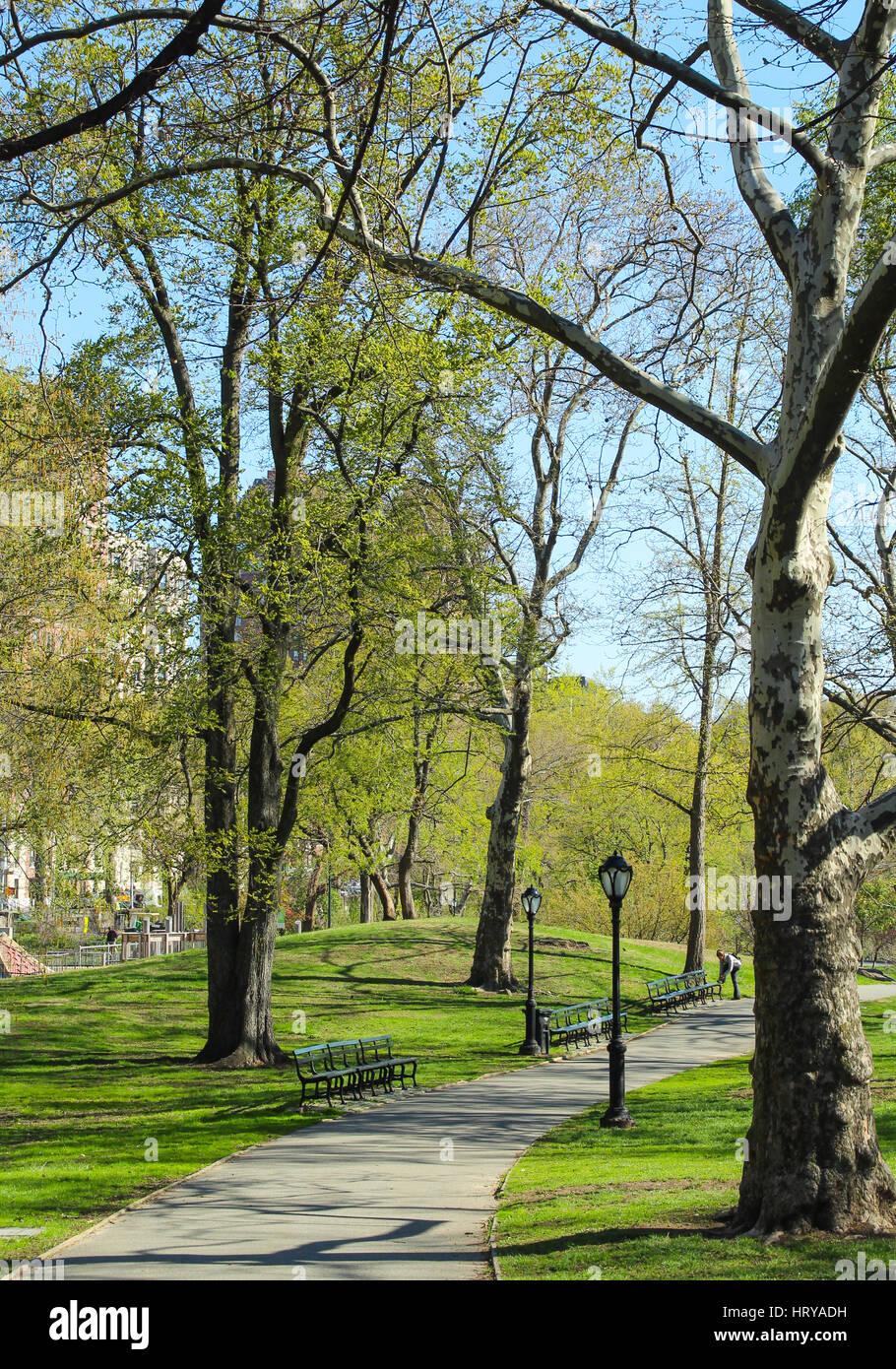 View of Central park at sunny spring day in New York Stock Photo - Alamy
