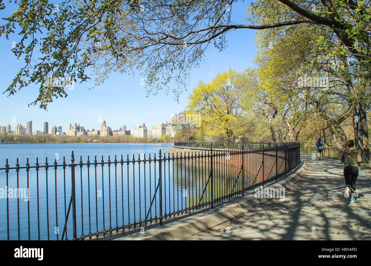 View of Central park at sunny spring day in New York Stock Photo - Alamy