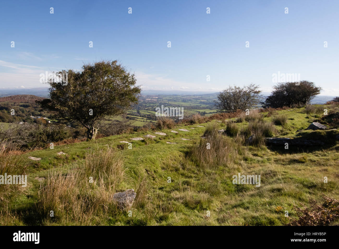 Pathway across Bodmin Moor, Cornwall, showing windswept landscape and ...