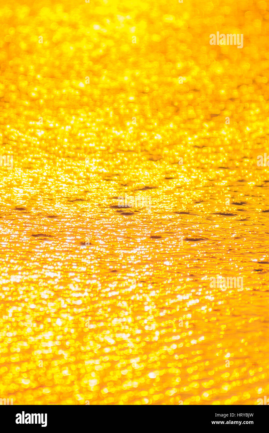 golden low sun reflections on water Stock Photo - Alamy