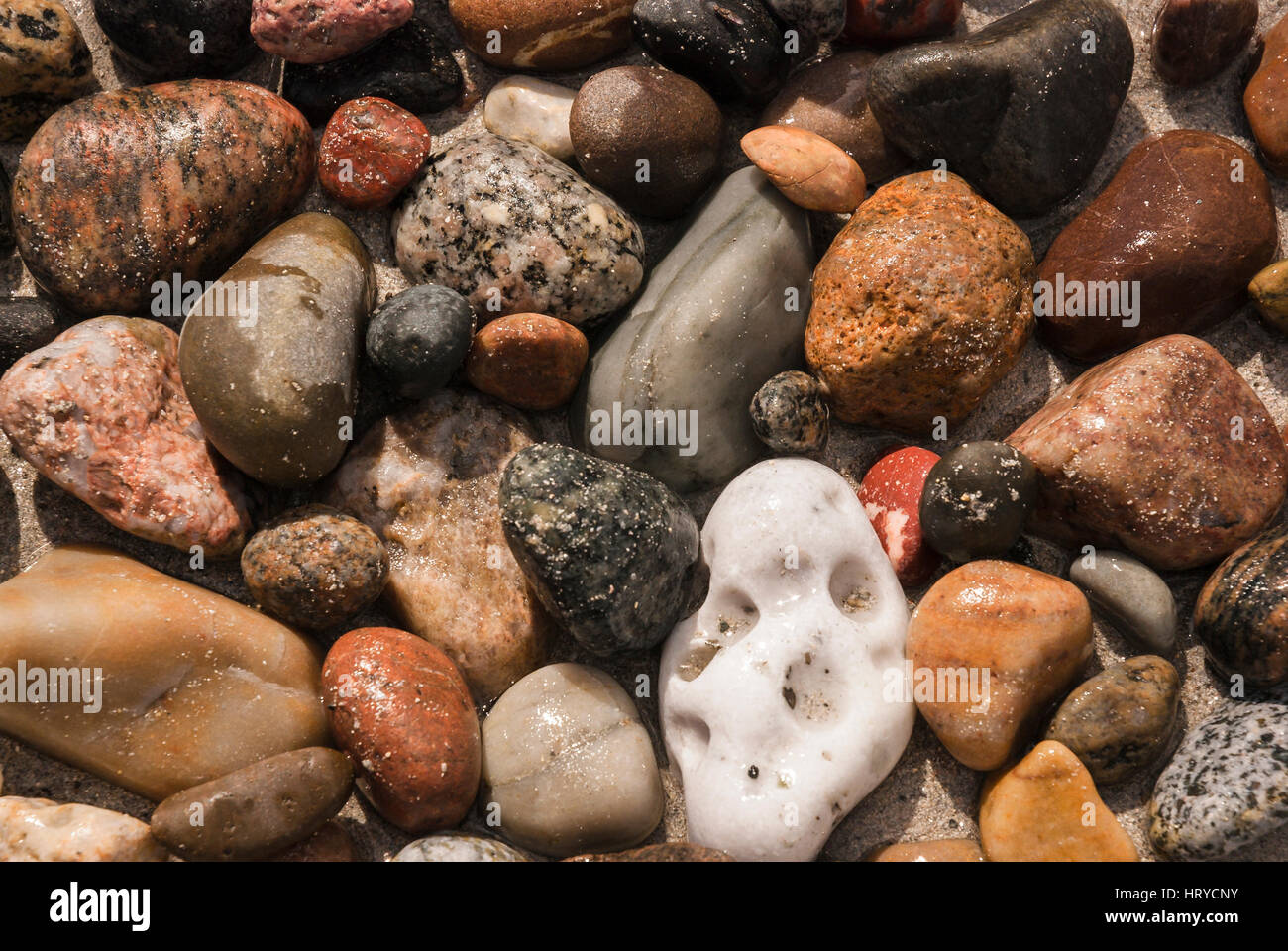 Pebbles on the beach Stock Photo - Alamy