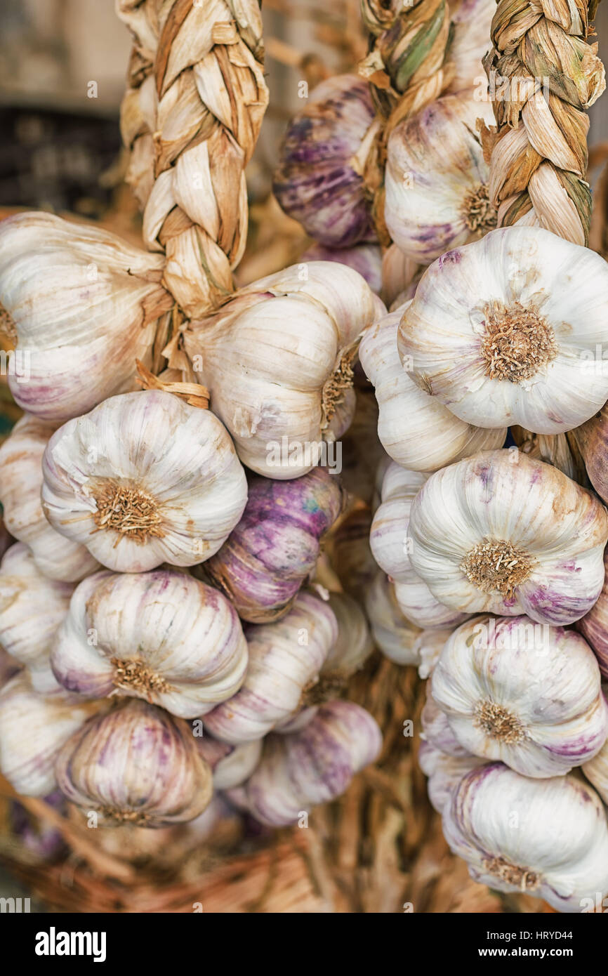 Garlic Market France Healthy Bulbs High Resolution Stock Photography ...