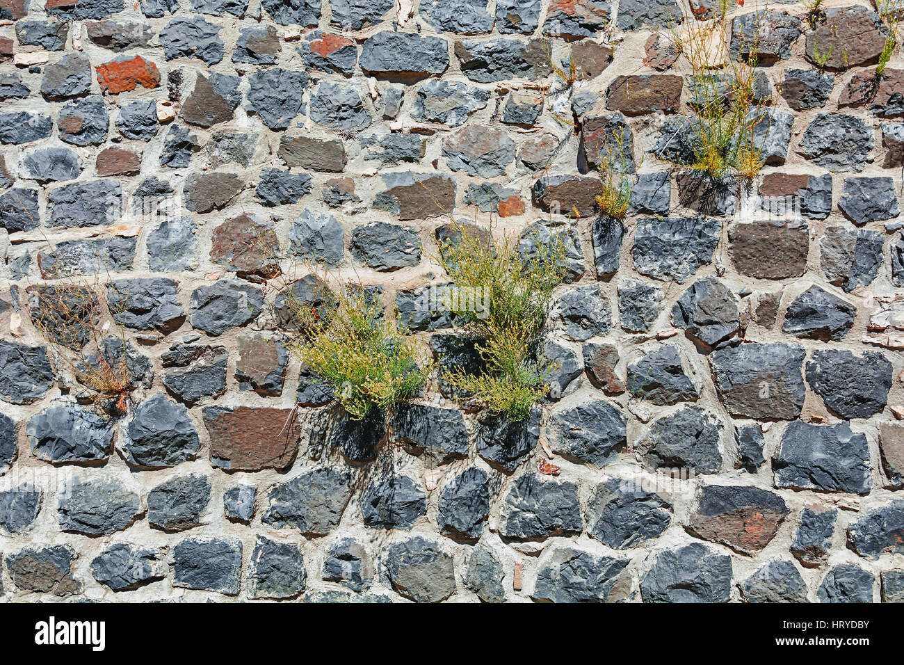 Wall of house from basalt with germinated plants Stock Photo - Alamy