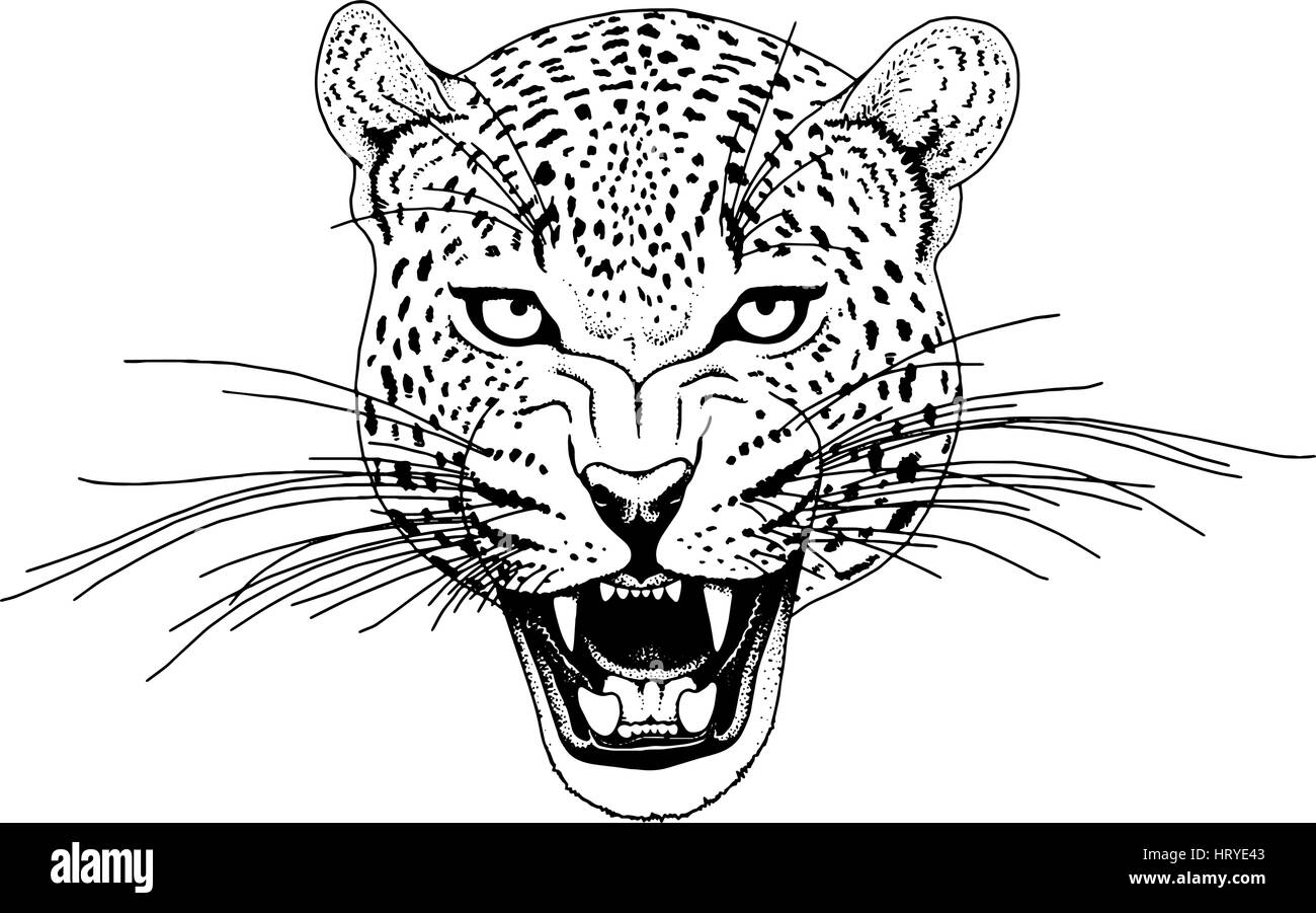 Leopard face tattoo ,Vector illustration, print Stock Vector Image ...