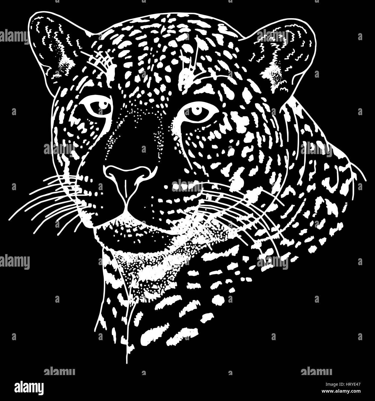 Leopard face tattoo ,Vector illustration, print Stock Vector Image ...