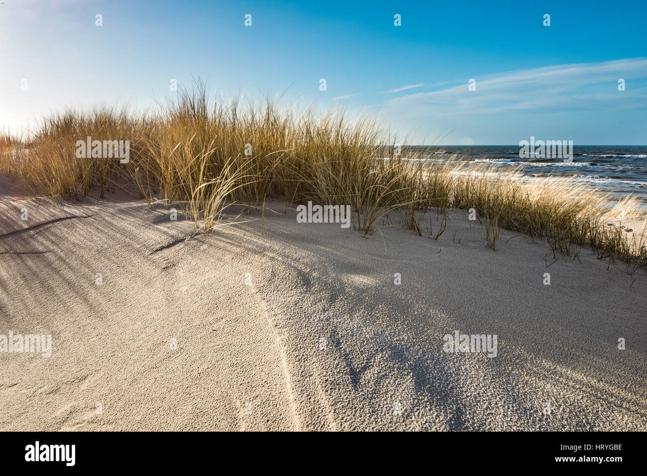 Bright, wide and white polish beach in Leba. Baltic sea and its incredible beauty. Sandy dunes ...