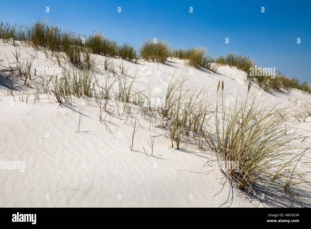 Bright, wide and white polish beach in Leba. Baltic sea and its incredible beauty. Sandy dunes ...