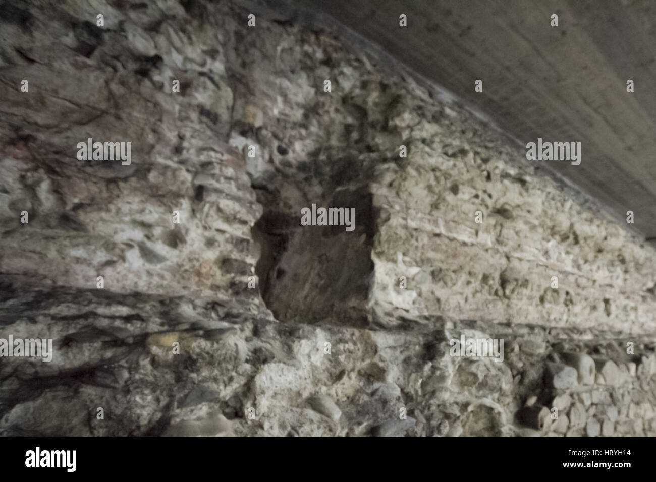 Cloaca hi-res stock photography and images - Alamy