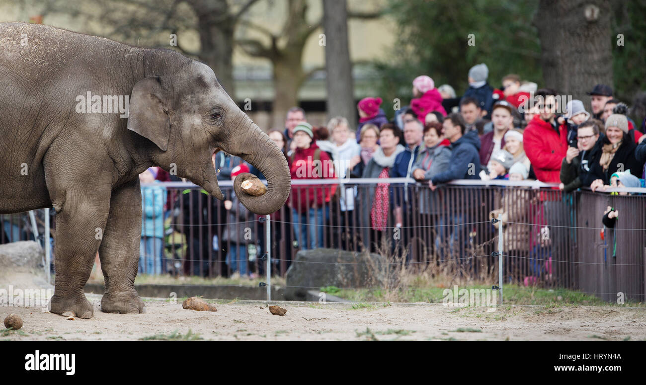 The 5th elephant hi-res stock photography and images - Alamy