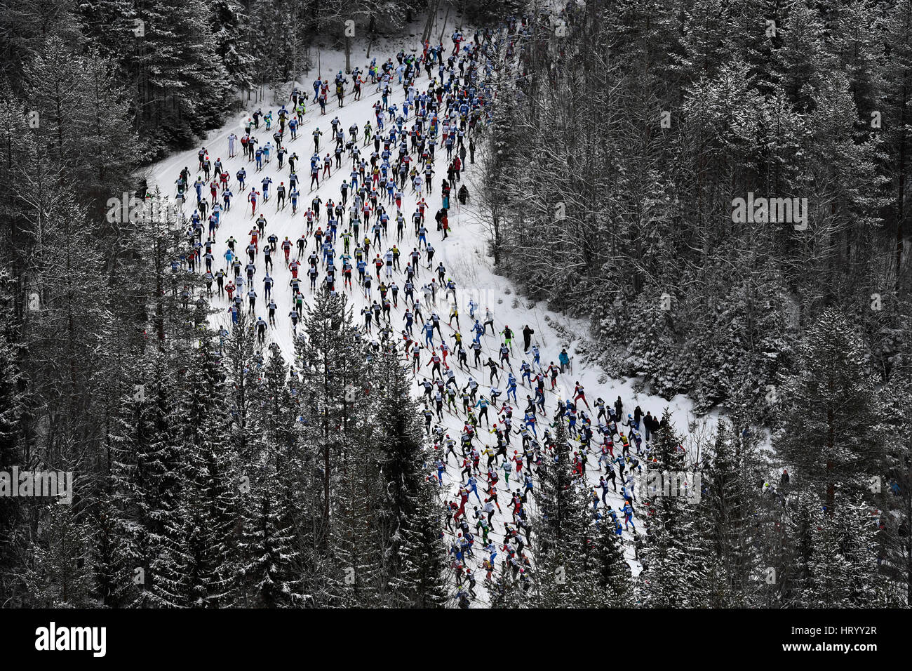 Long Distance Ski Competition High Resolution Stock Photography and ...
