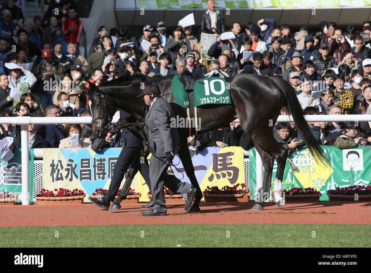Soul Stirring, MARCH 4, 2017 - Horse Racing : Soul Stirring is led ...