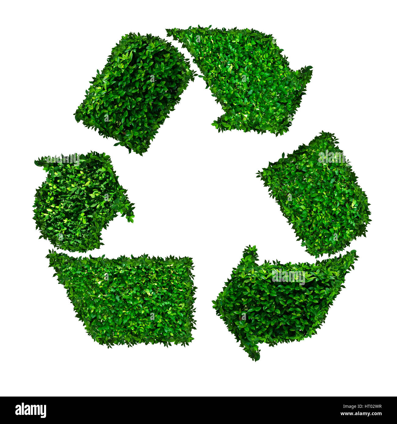 From grass Cut Out Stock Images & Pictures - Alamy