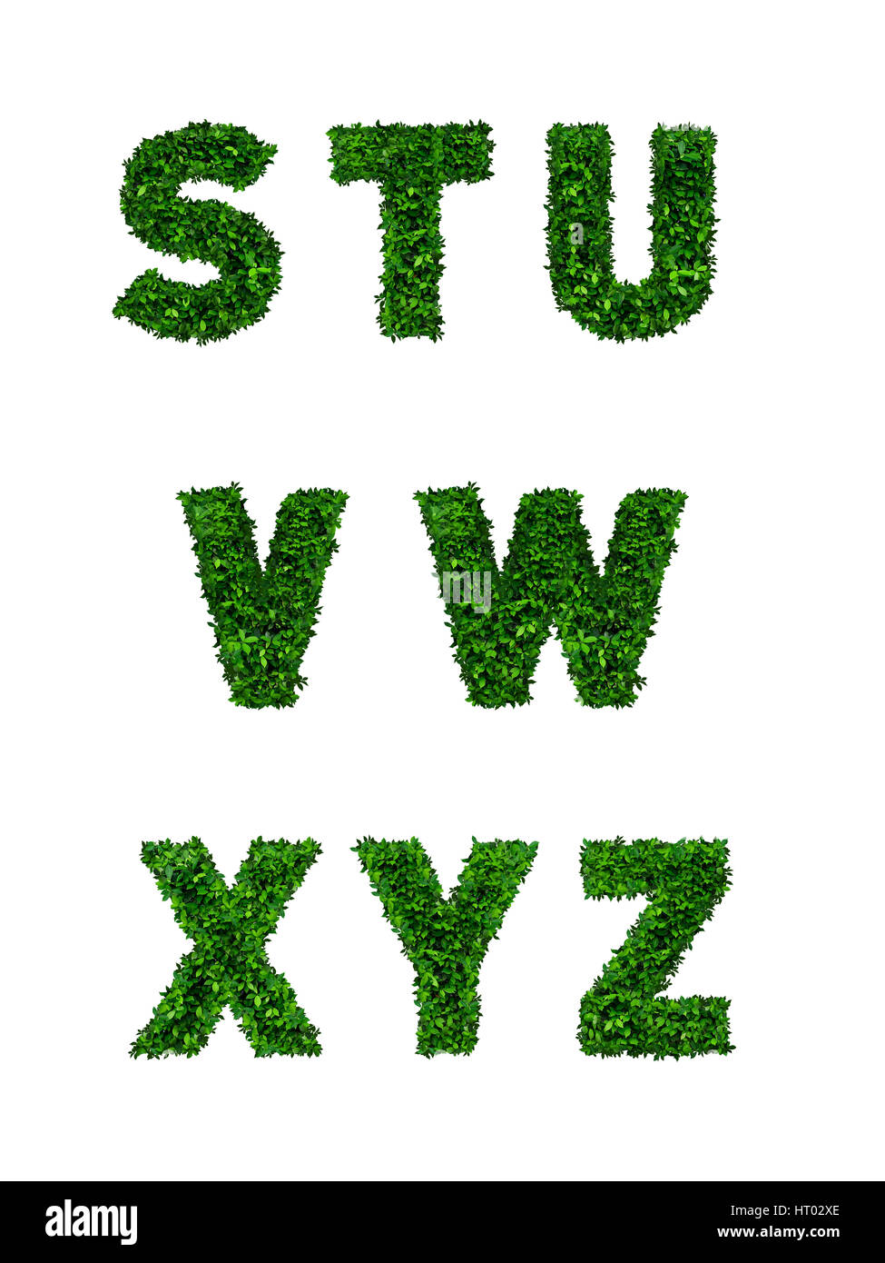 S to Z, alphabets of green leaves on white background Stock Photo - Alamy