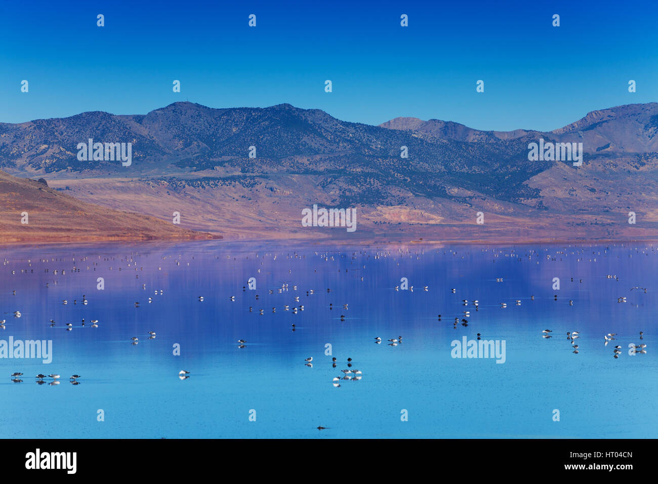 Beautiful landscape picture of Antelope Island and Great Salt Lake with ...