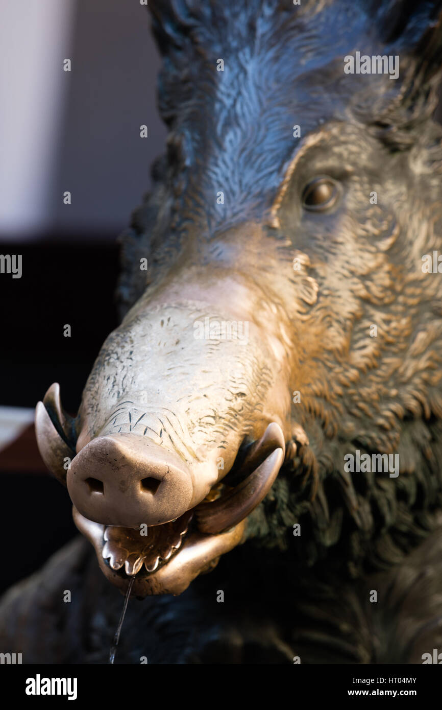 Front view of famous pig's fountain in Florence Stock Photo - Alamy