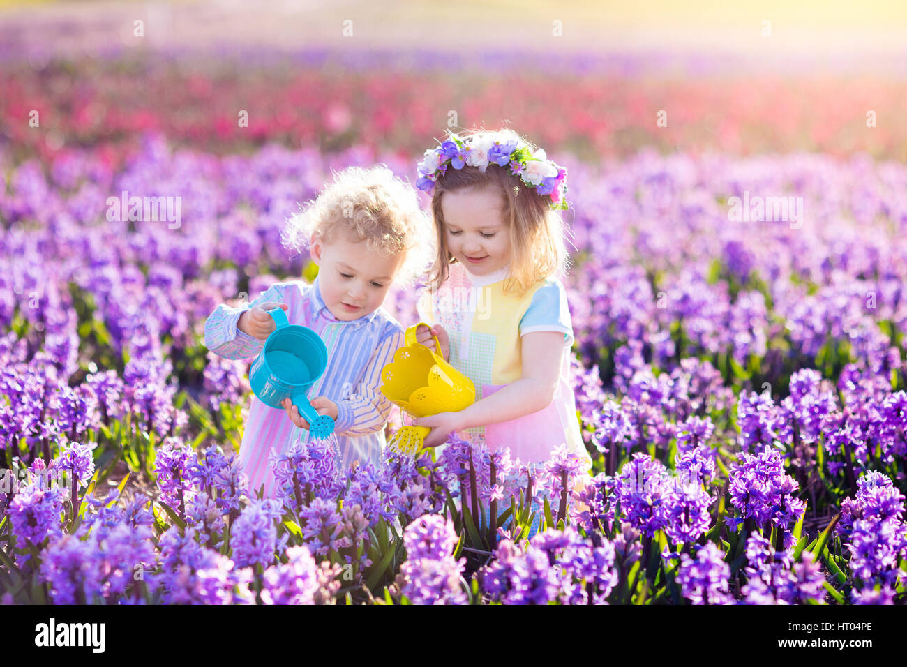 Children planting spring flowers in sunny garden. Little boy and girl ...