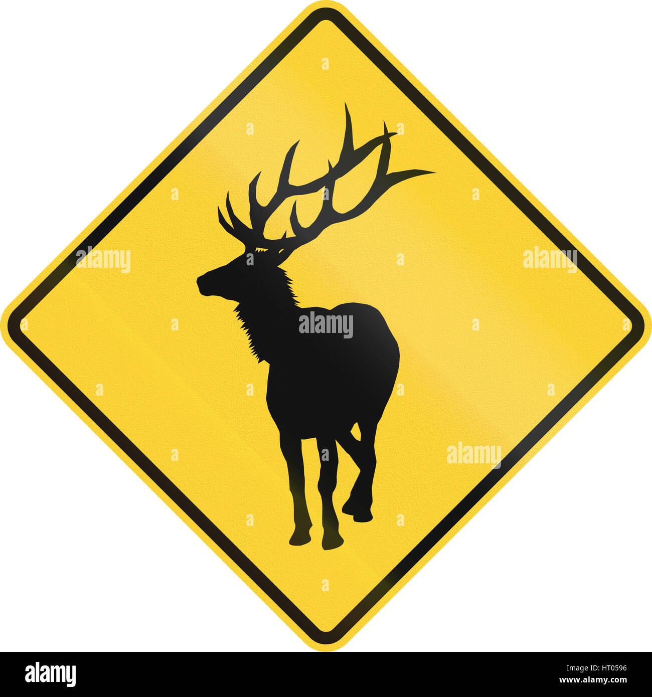 United States MUTCD road sign - warning of large wild animals nearby ...
