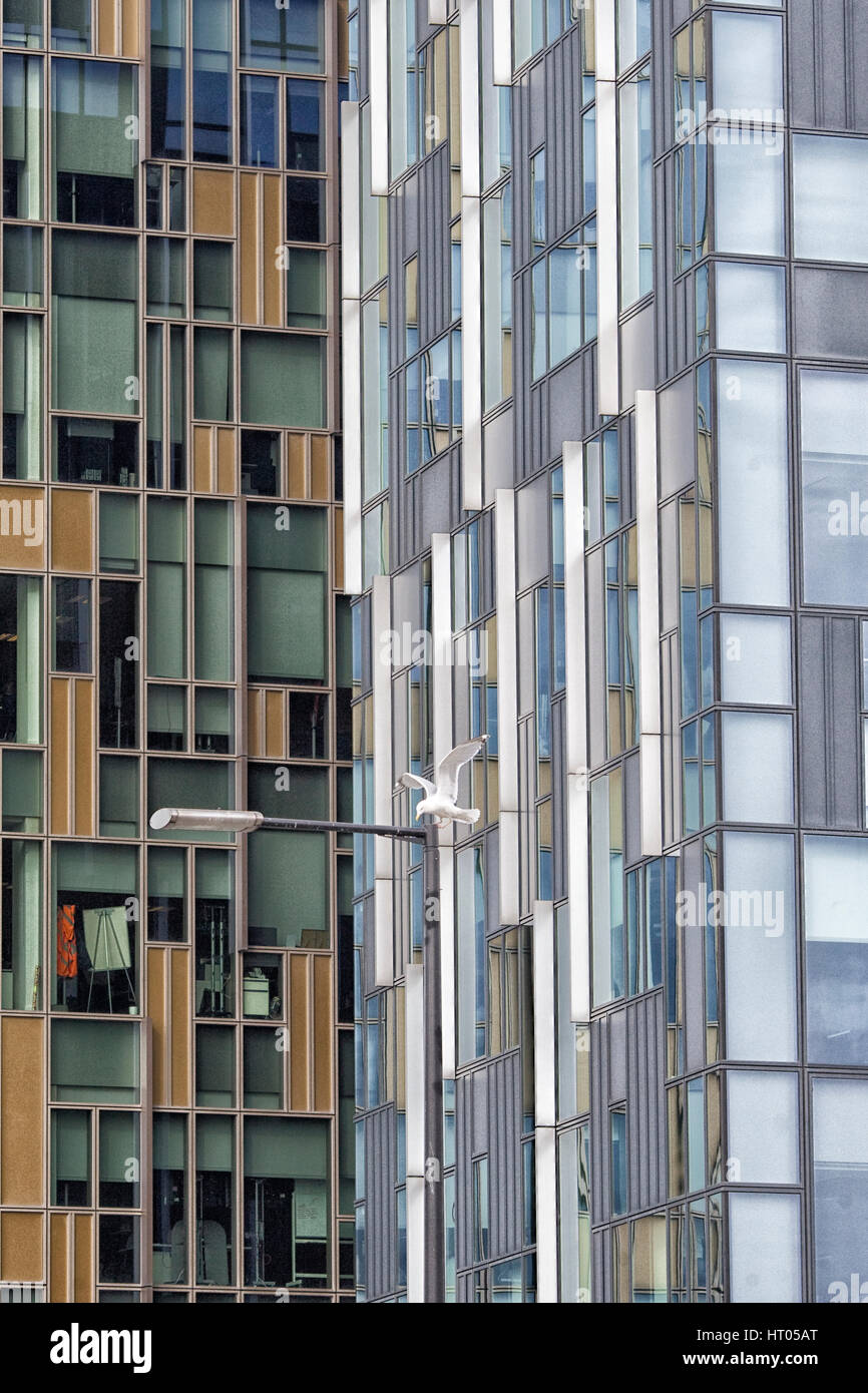 Office block glass windows Abstract London Stock Photo - Alamy