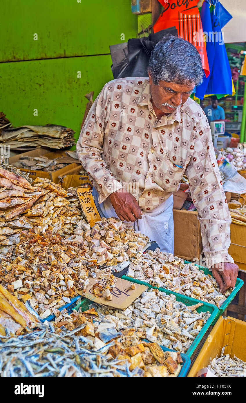 COLOMBO, SRI LANKA - DECEMBER 6, 2016: The trader arranges salted sun ...