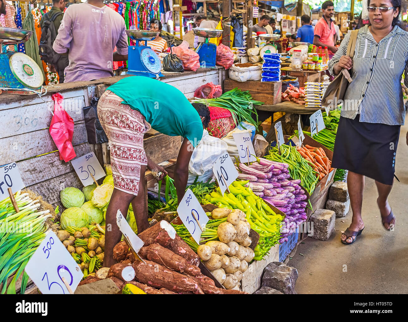 Cassava snake hi-res stock photography and images - Alamy