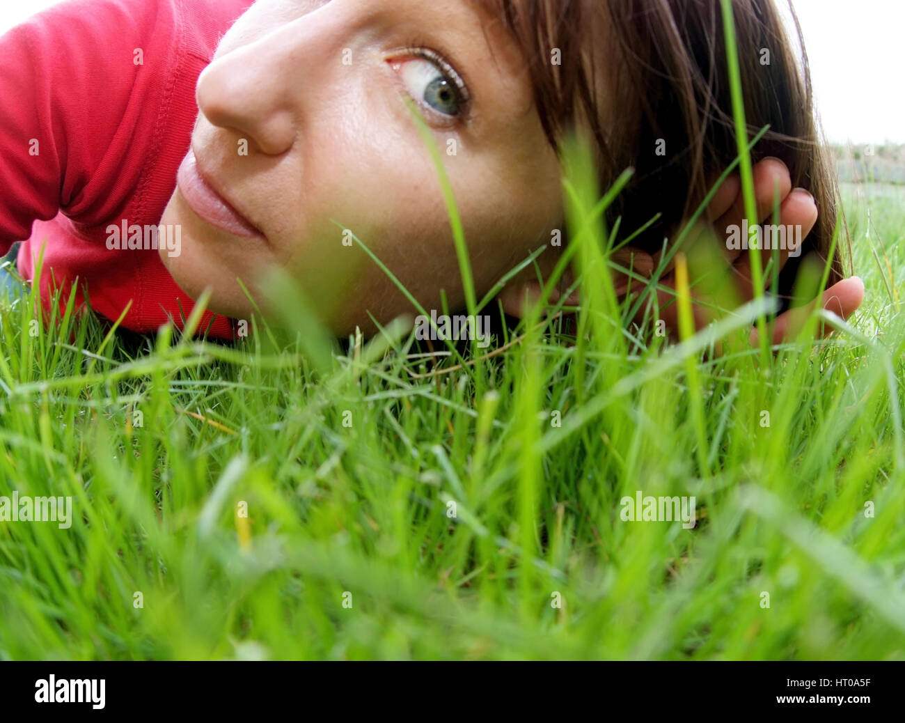 Hear grassy plain hi-res stock photography and images - Alamy