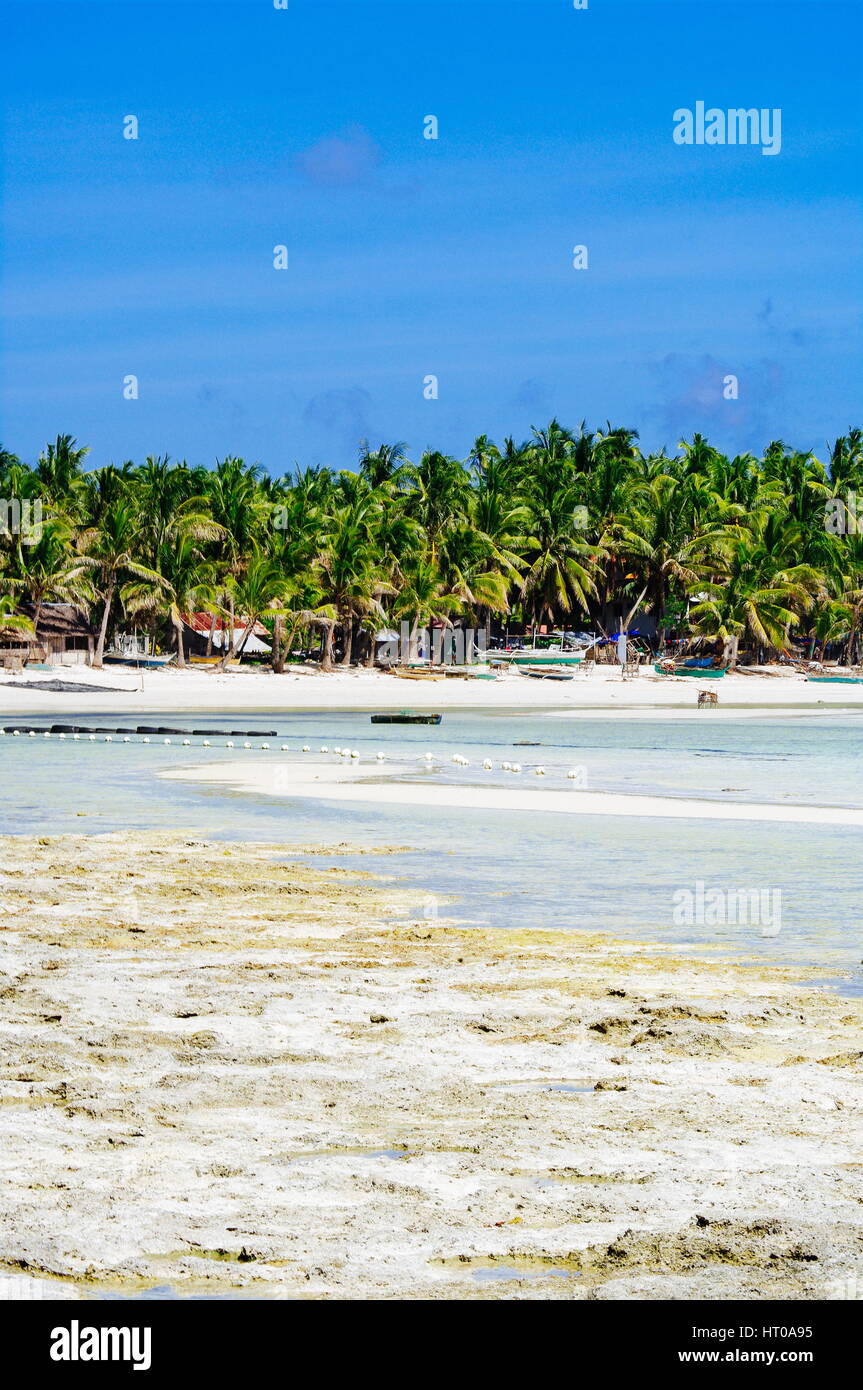Amazing tropical white sand beach Stock Photo - Alamy