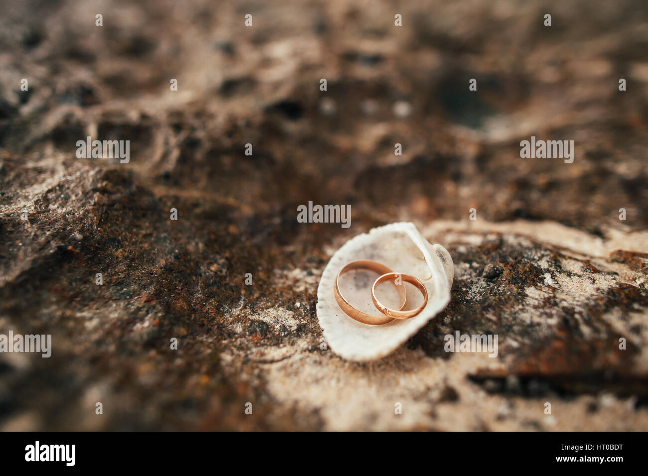 Shell gold wedding rings hi-res stock photography and images - Alamy